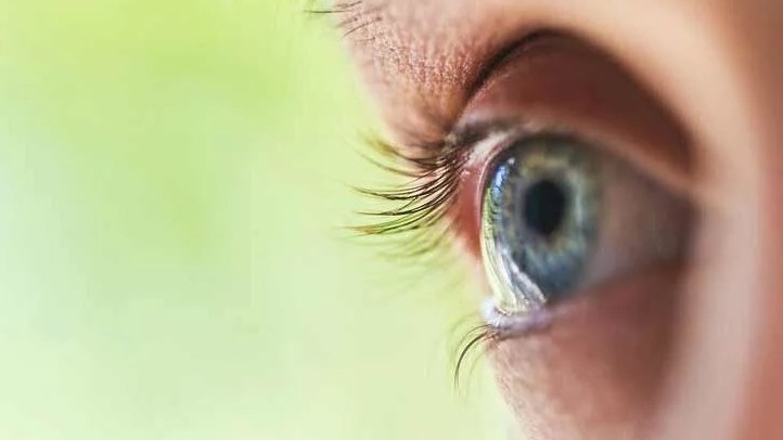 Les cils repoussent-ils ? Est-ce rapide ? - Lash Masterclass